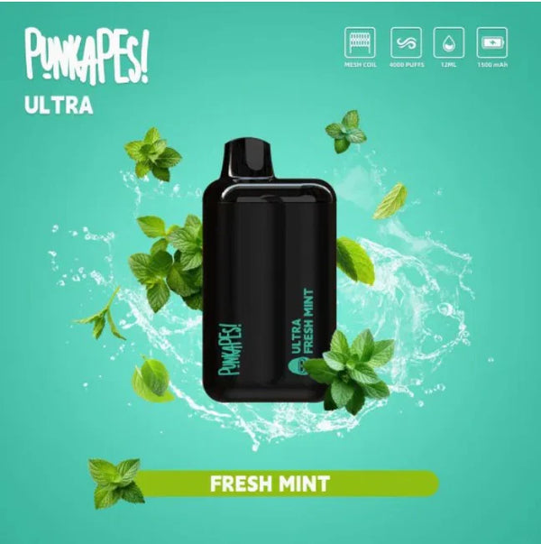 FRESH MINT - PUNKAPES ULTRA 4000 - Vape Plug